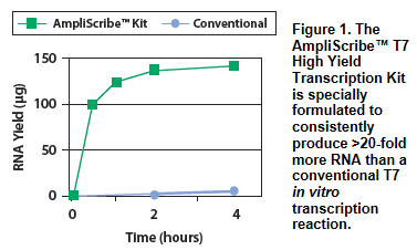 AmpliScribe T7 High Yield Transcription Kit | IVT | Biochemikalien | Biozym Scientific GmbH