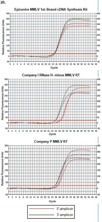 MMLV Reverse Transcriptase 1st-Strand | cDNA Synthese | PCR / qPCR / cDNA Synthese ...