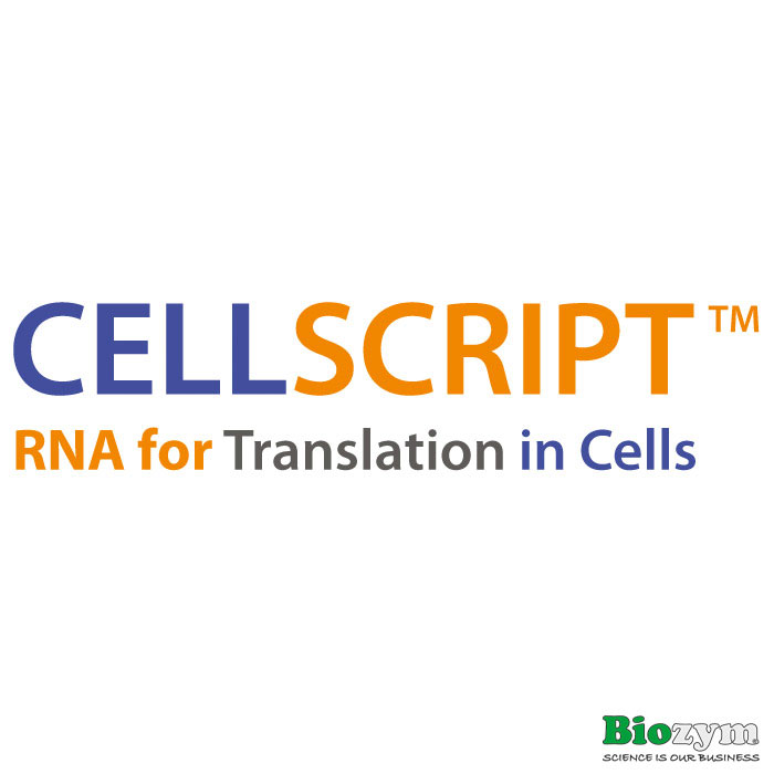 ScriptCap Cap 1 Capping System | Biozym Scientific GmbH