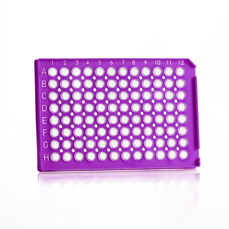 FrameStar 96 PCR Plate, clear Wells, purple Frame | PCR-Platten ...