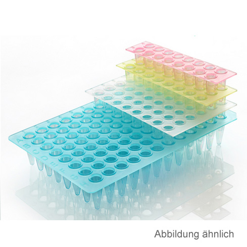 16 Well PCR Plate Segment, clear | PCR-Platten / Streifen / Gefäße ...