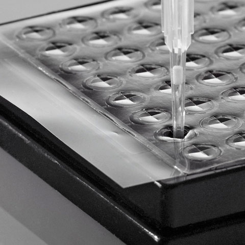 Perforated Seal for Capillary Sequencers | Sealing Folien | PCR ...