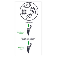 QuickExtract DNA Extraction Solution | DNA + RNA Aufreinigung ...