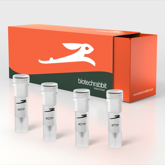 dNTP Set (4 × 100 mM solutions) | dNTP's / Water / Enhancer | PCR ...